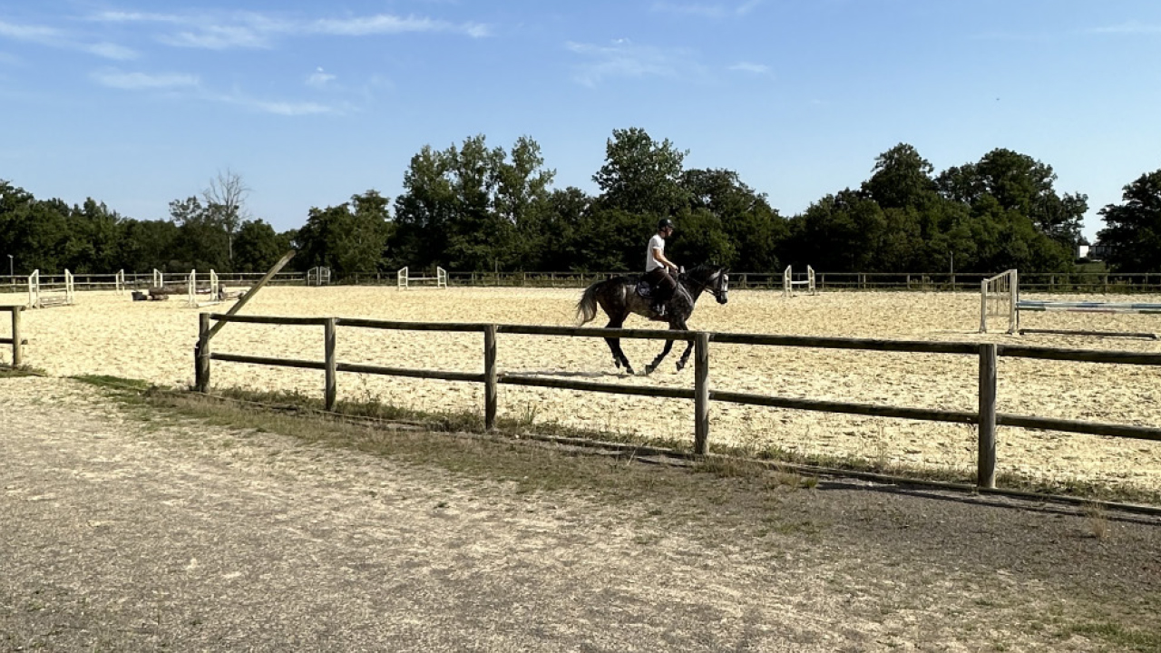 L’Orée des sables : terrains à bâtir à Sainte-foy | Bati-Aménagement